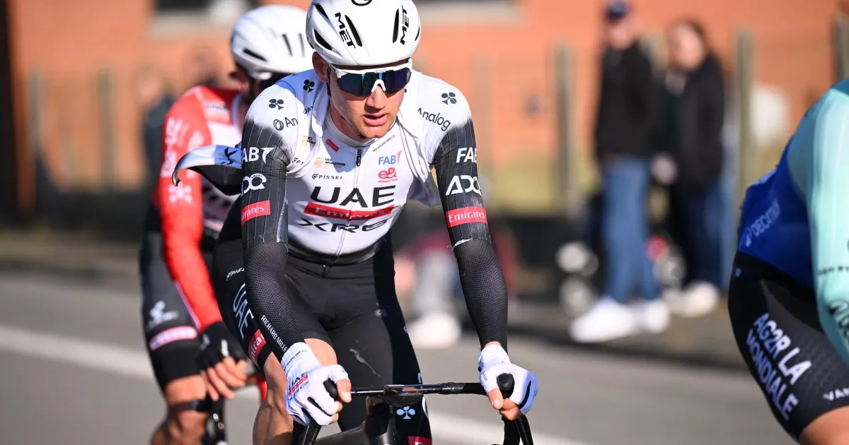 Wellens lacht met Pogacar na nieuwe nederlaag in Milaan-Sanremo tegen ...